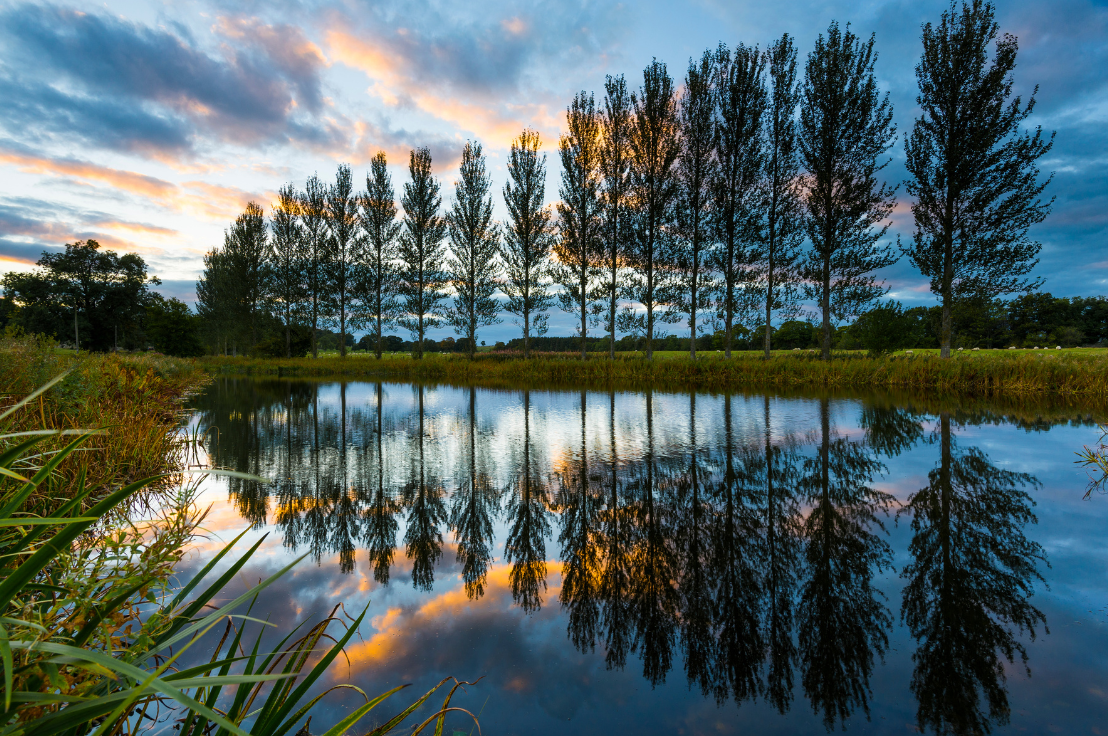 Critical Reflection - A deeper look at reflective practices | Learning ...